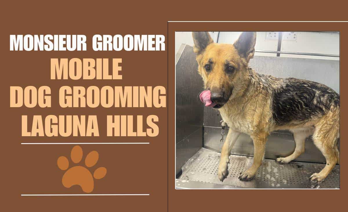 Mobile Dog Grooming Laguna Hills, CA